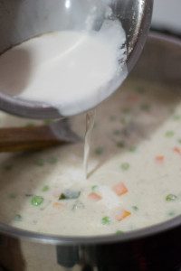 Vegetable Stew for Appam, Rich Vegetable Stew, Kerala Stew – Kannamma Cooks
